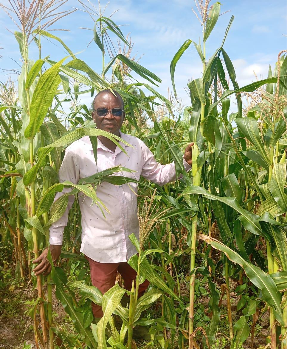 Production semencière dans le Goulmou : «si dans les 30 prochains jours ...